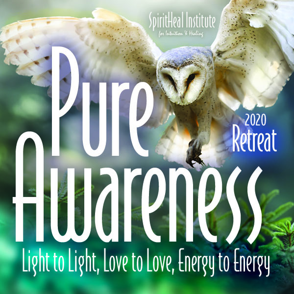 SH_Cover_Pure Awareness Retreat Aug 2020 Final | SpiritHeal Institute